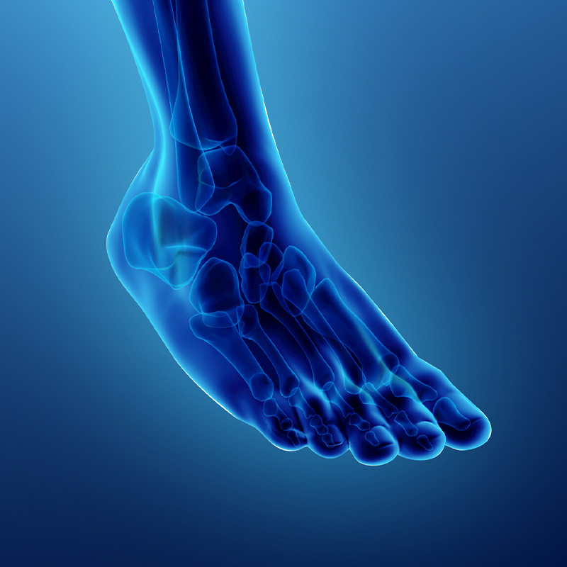 Foot Ankle Spark Medical Group