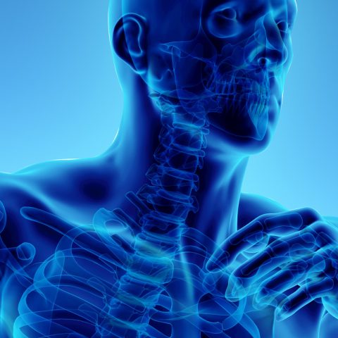 Neck & Back | Spark Medical Group